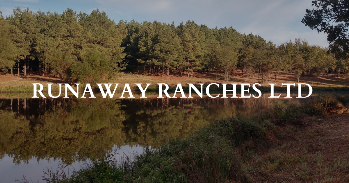 Mike Mobley Web Consulting Services